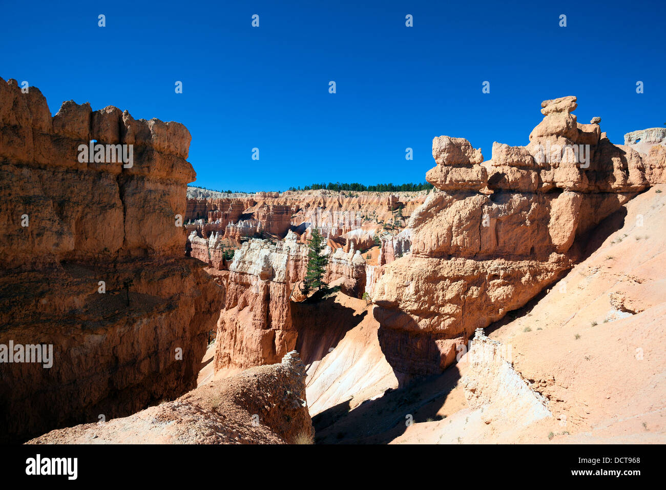 view of famous Navajo Trail Stock Photo - Alamy