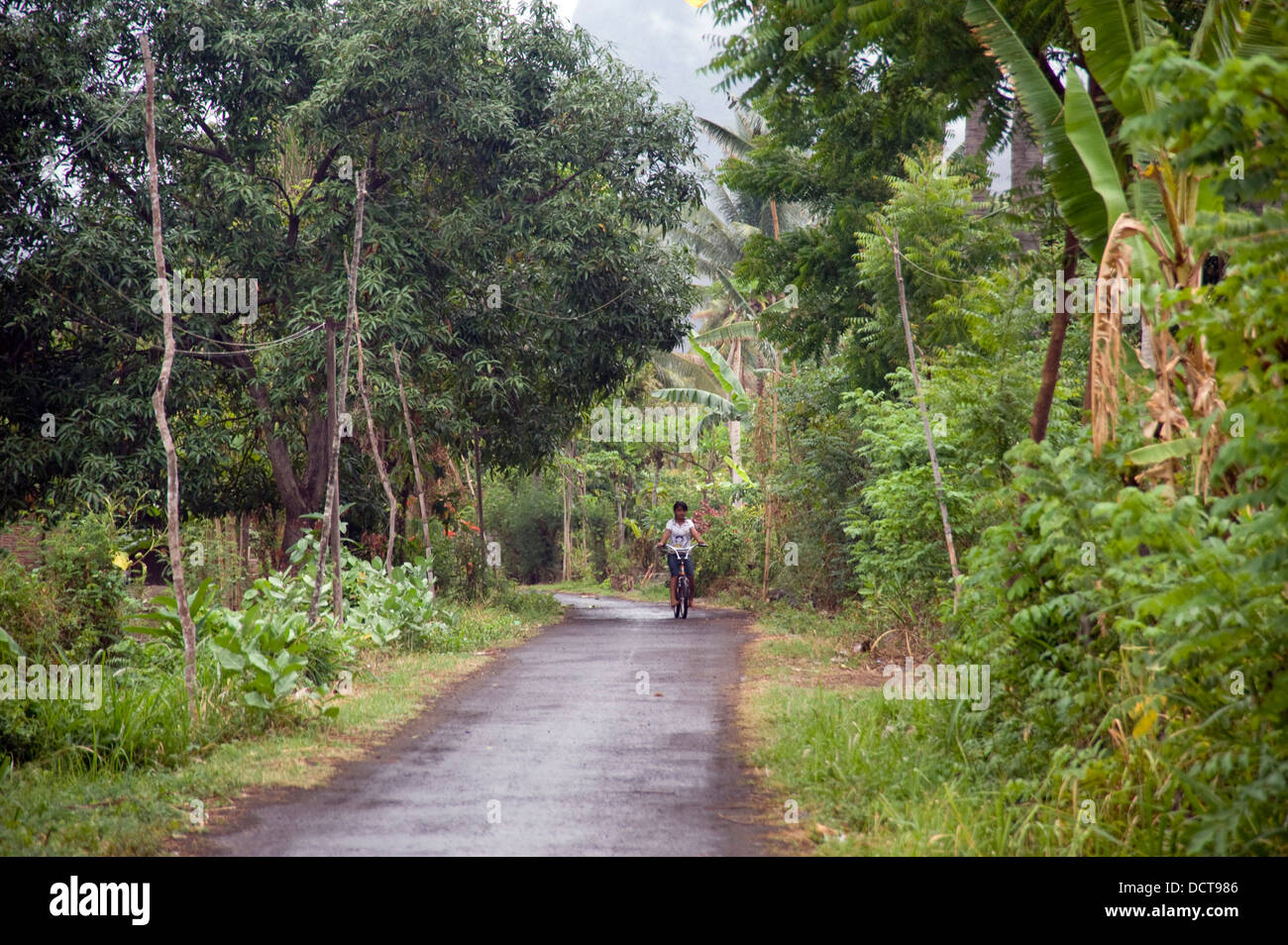 Narrow Road, Bali, Indonesia Stock Photo - Alamy