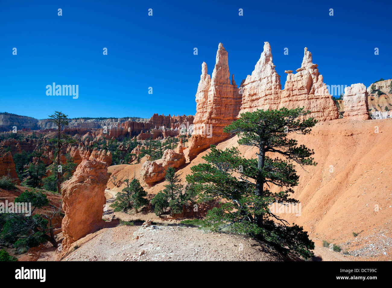 view of famous Navajo Trail Stock Photo - Alamy