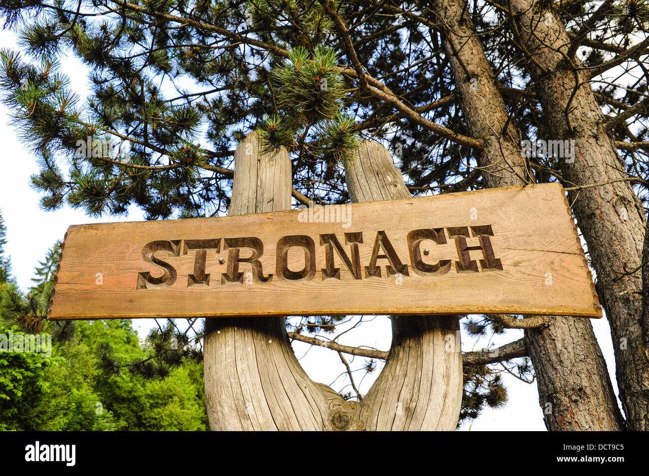 Stronach hi-res stock photography and images - Alamy