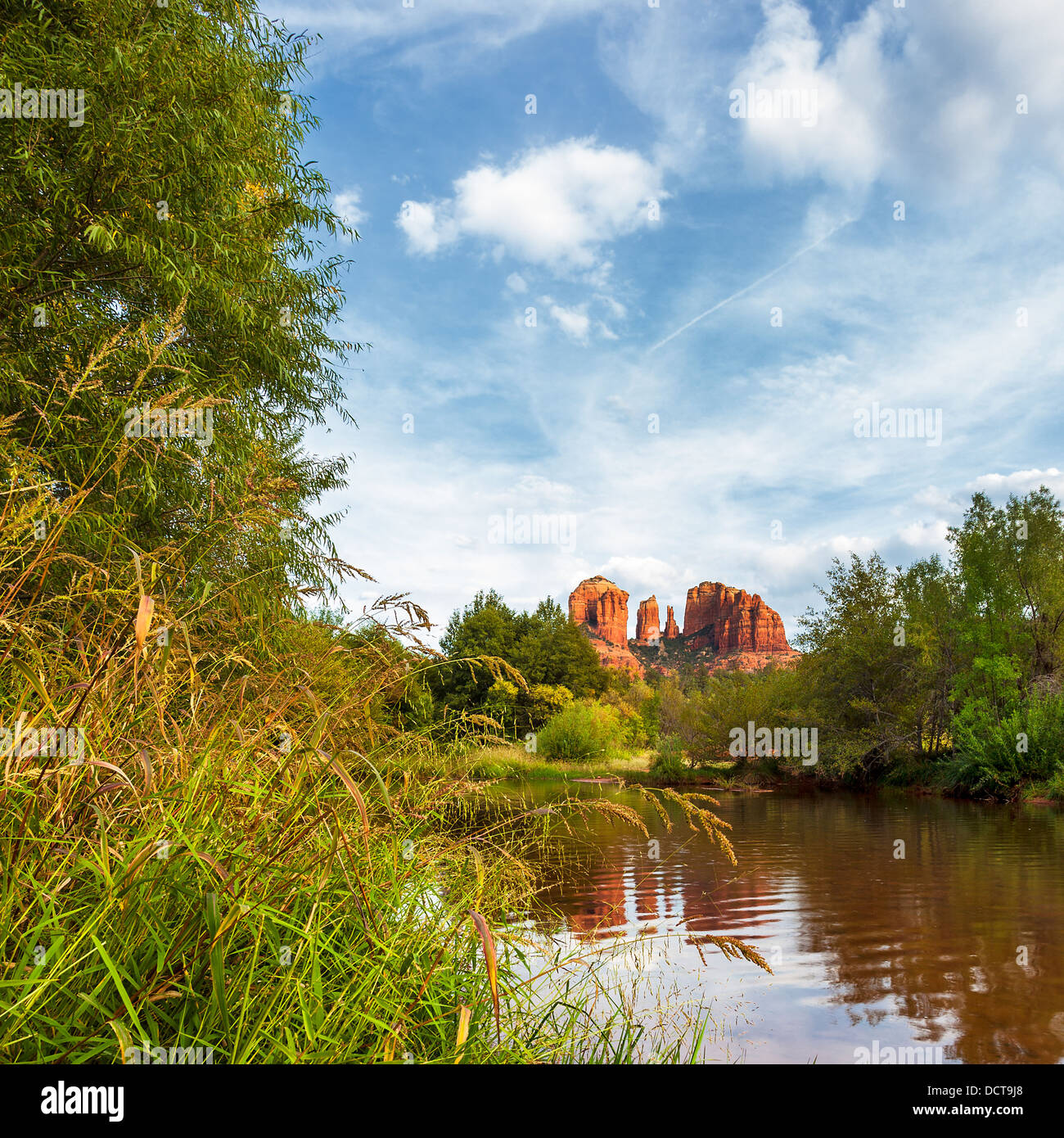 View of Cathedral Rock Stock Photo - Alamy