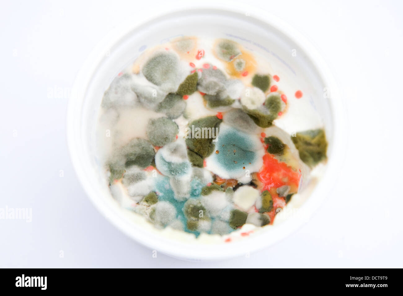 Mouldy / mould / mold / molds / fungal growth / growths on mouldy dairy ...