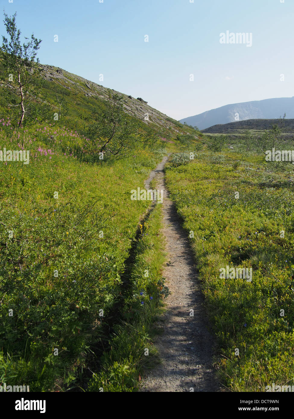 path in the mountains Stock Photo - Alamy