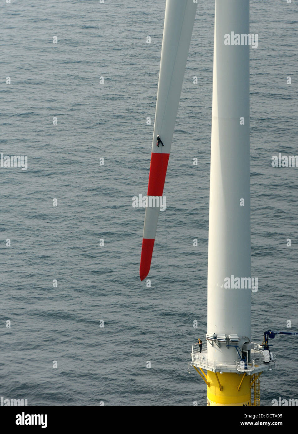 An aerial view of the trial offshore windpark 'Alpha Ventus' in the ...