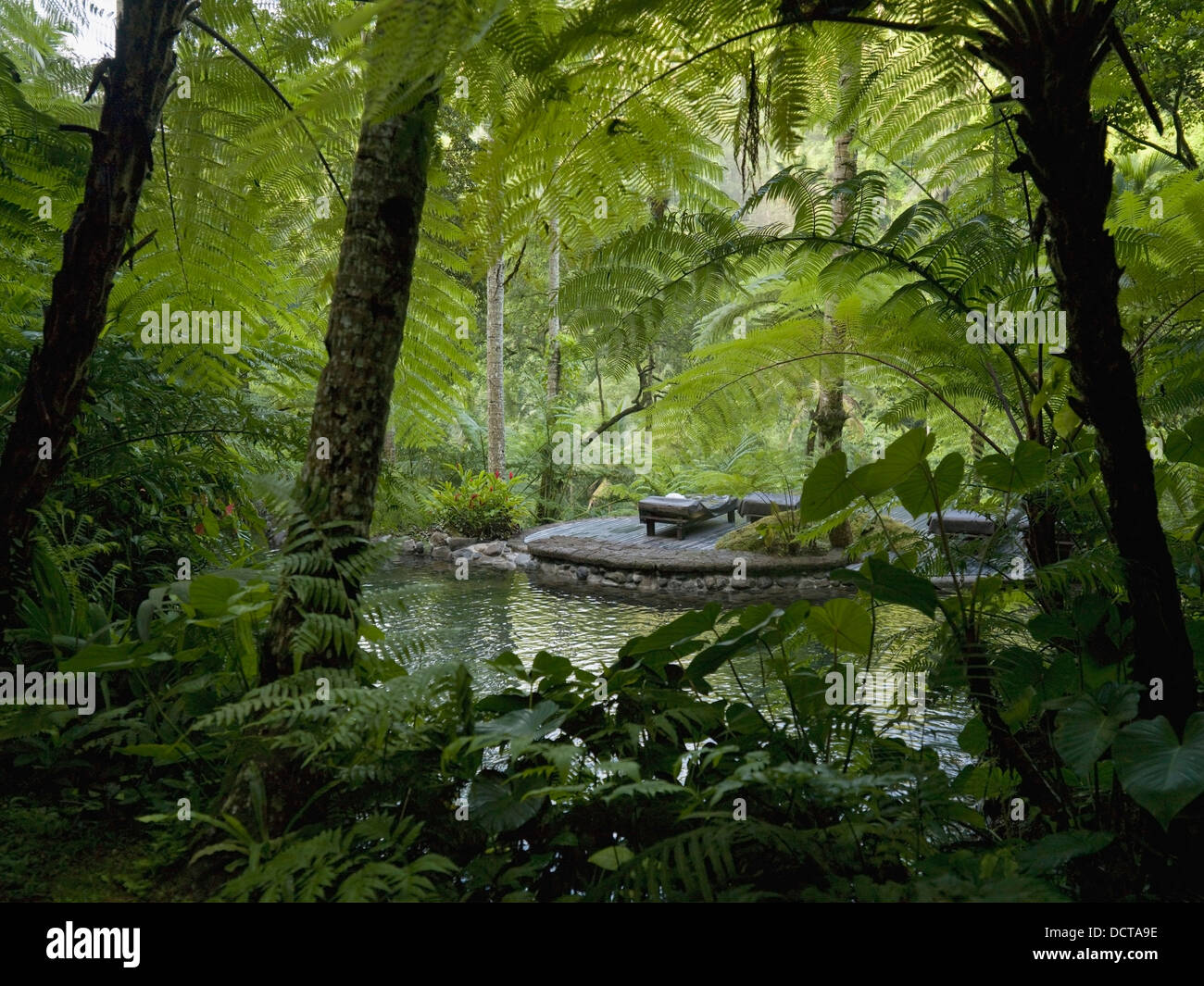 Hiking Trail, Bali, Indonesia Stock Photo - Alamy