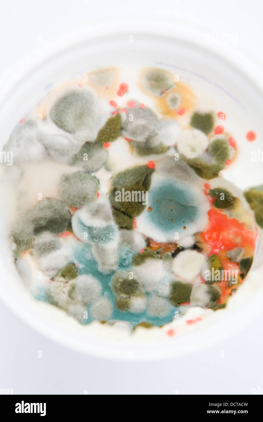 Cultured dairy foods hi-res stock photography and images - Alamy