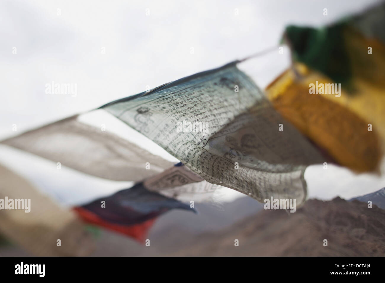 Indian Prayer Flags Blowing In The Wind; Leh, Ladak, India Stock Photo ...