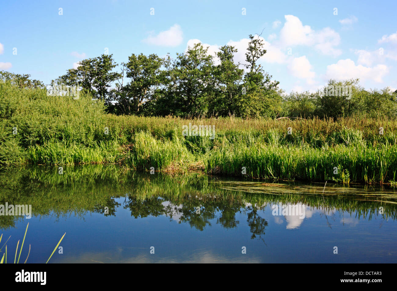 A tranquil scene with reflections on the upper reaches of the River ...