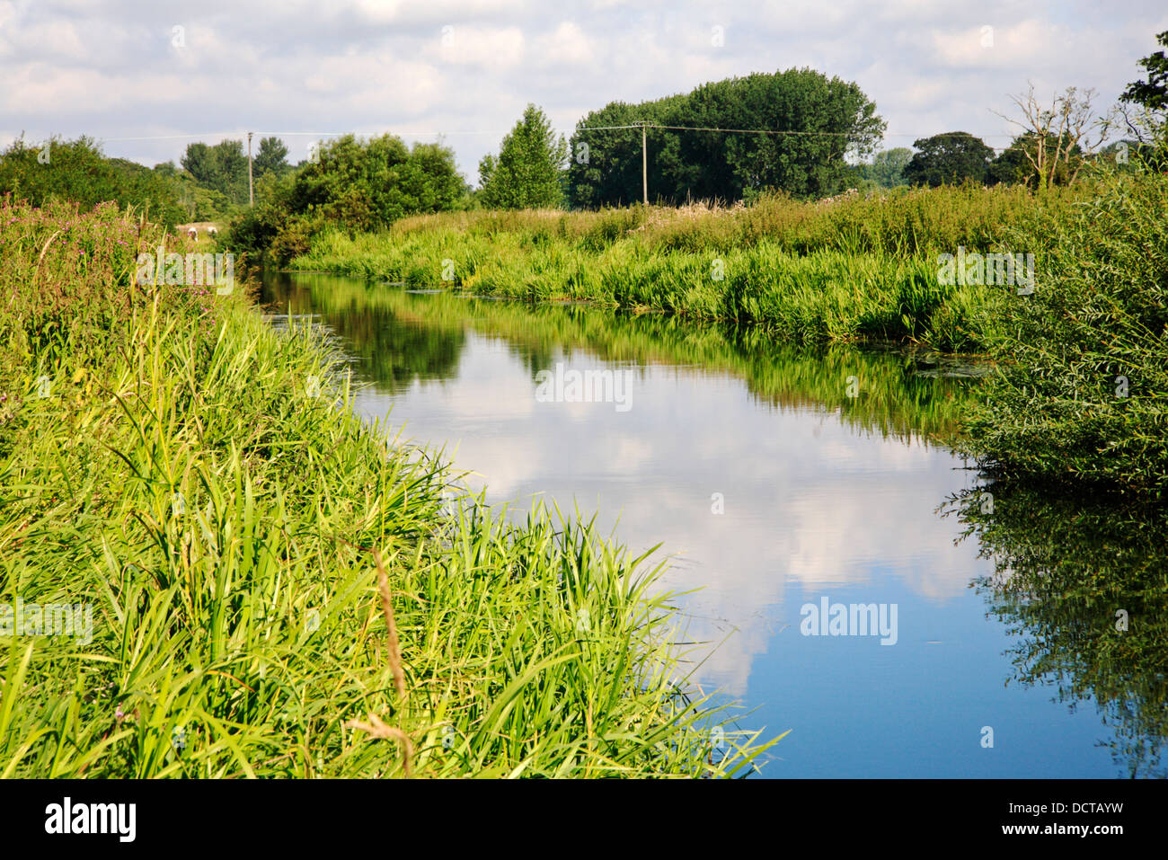 Wetland upstream uk hi-res stock photography and images - Alamy