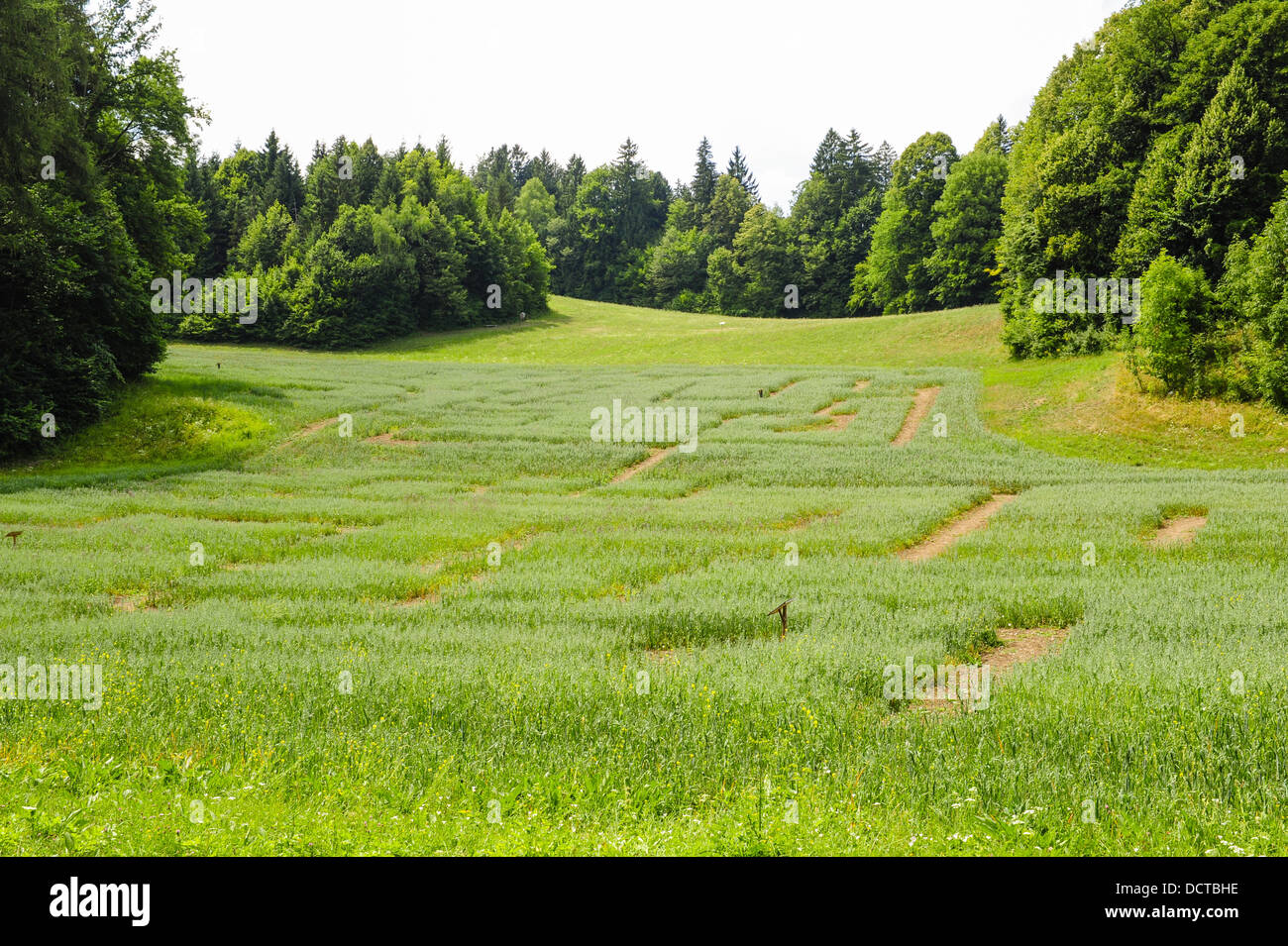 Triglav, Bled, labyrinth, Slovenia, Northern Slovenia Stock Photo - Alamy