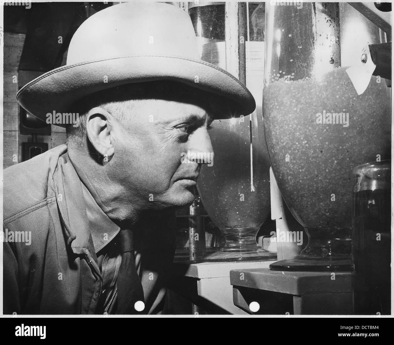 This image shows a close inspection of an egg battery, a part of the ...