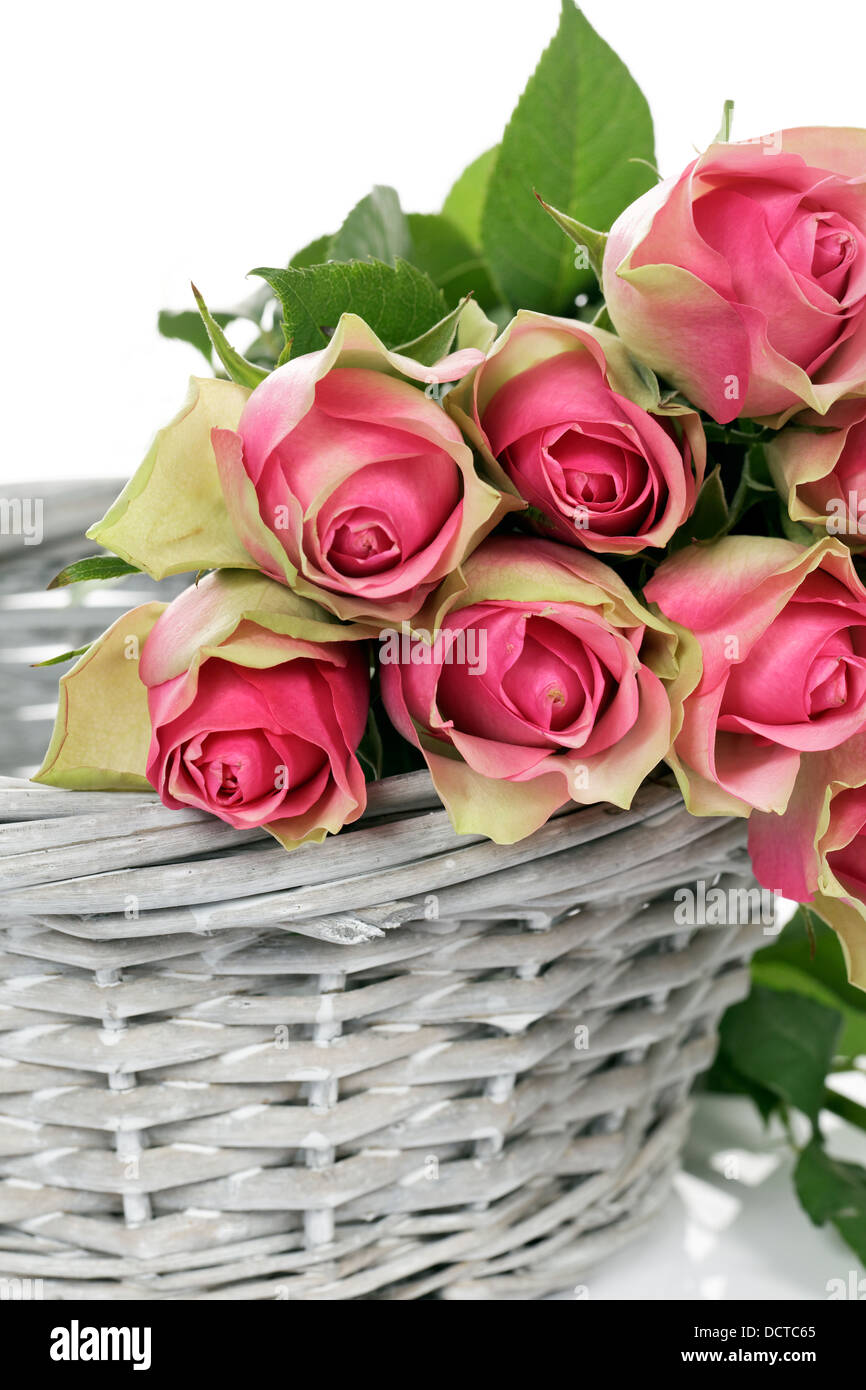 some pink roses in Basket Stock Photo - Alamy