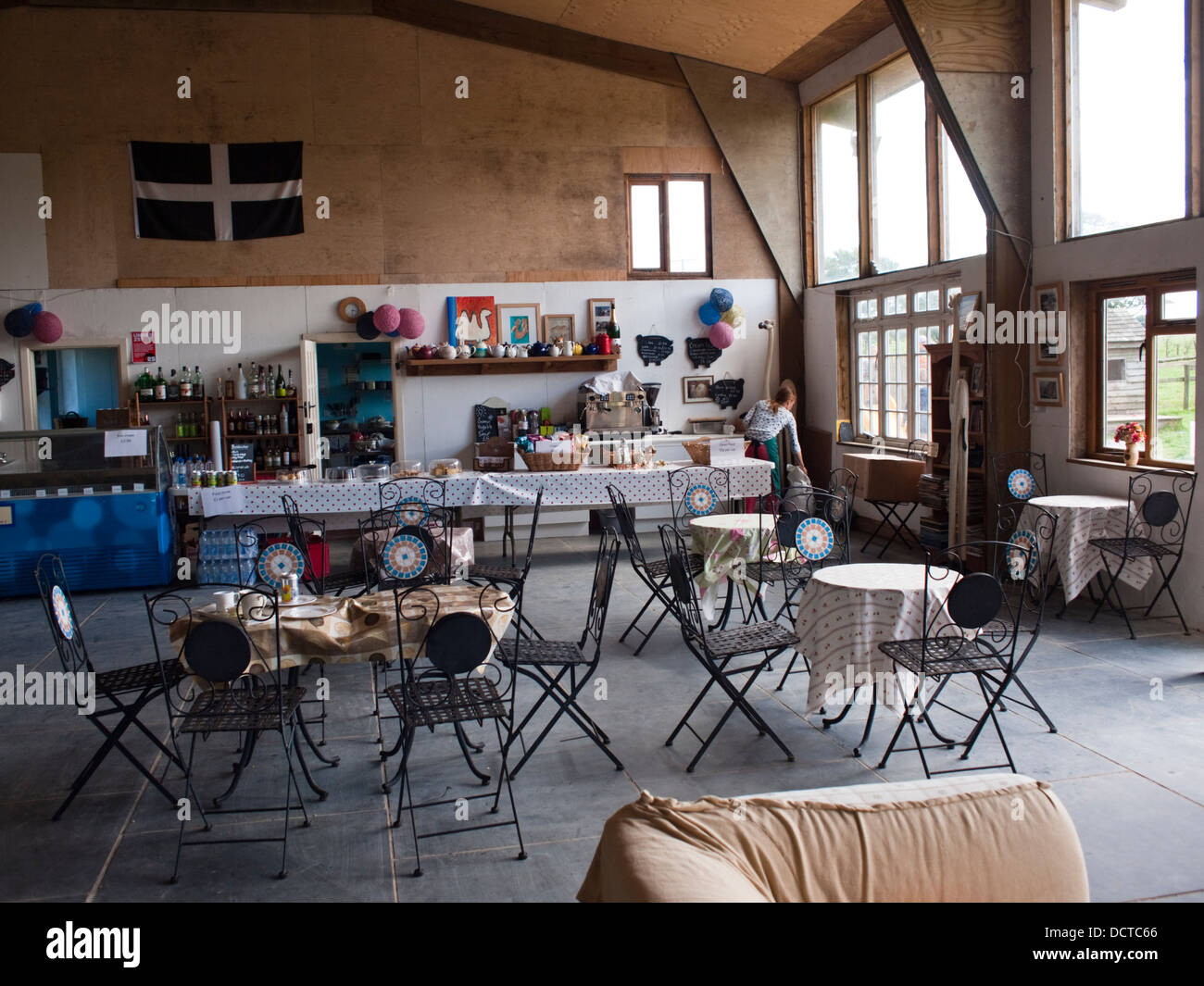 Cornish Camels at Rosuick Organic Farm, Rosuick, St Martin, Helston ...