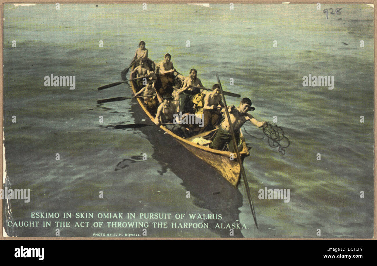 This vintage postcard depicts an Eskimo in a skin-covered Omiak boat ...
