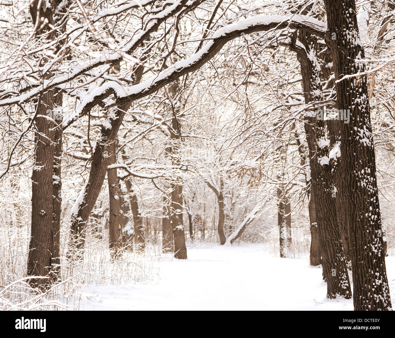 Seasonal cover hi-res stock photography and images - Alamy