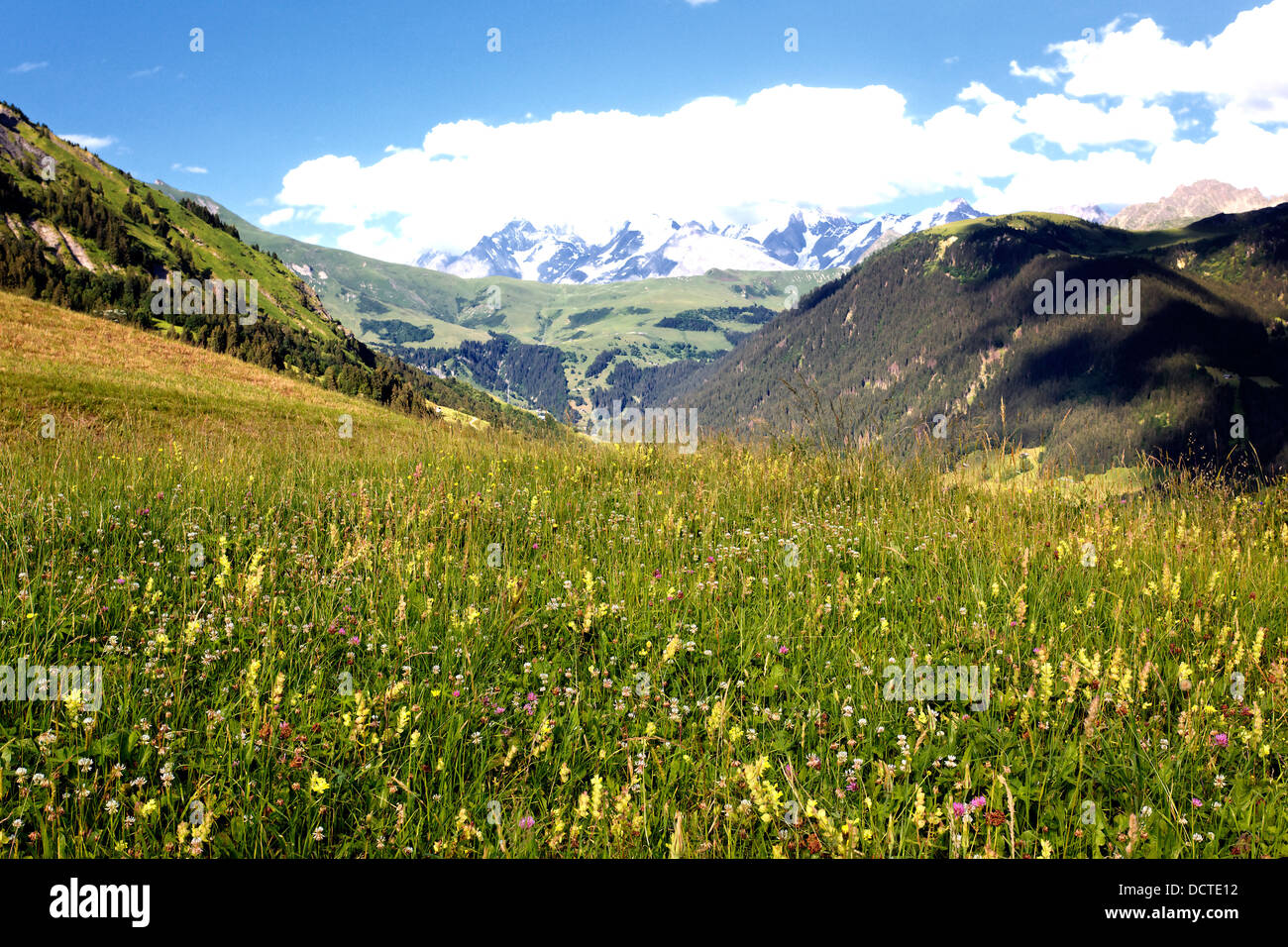 Savoy Alps-Europe in summer Stock Photo - Alamy