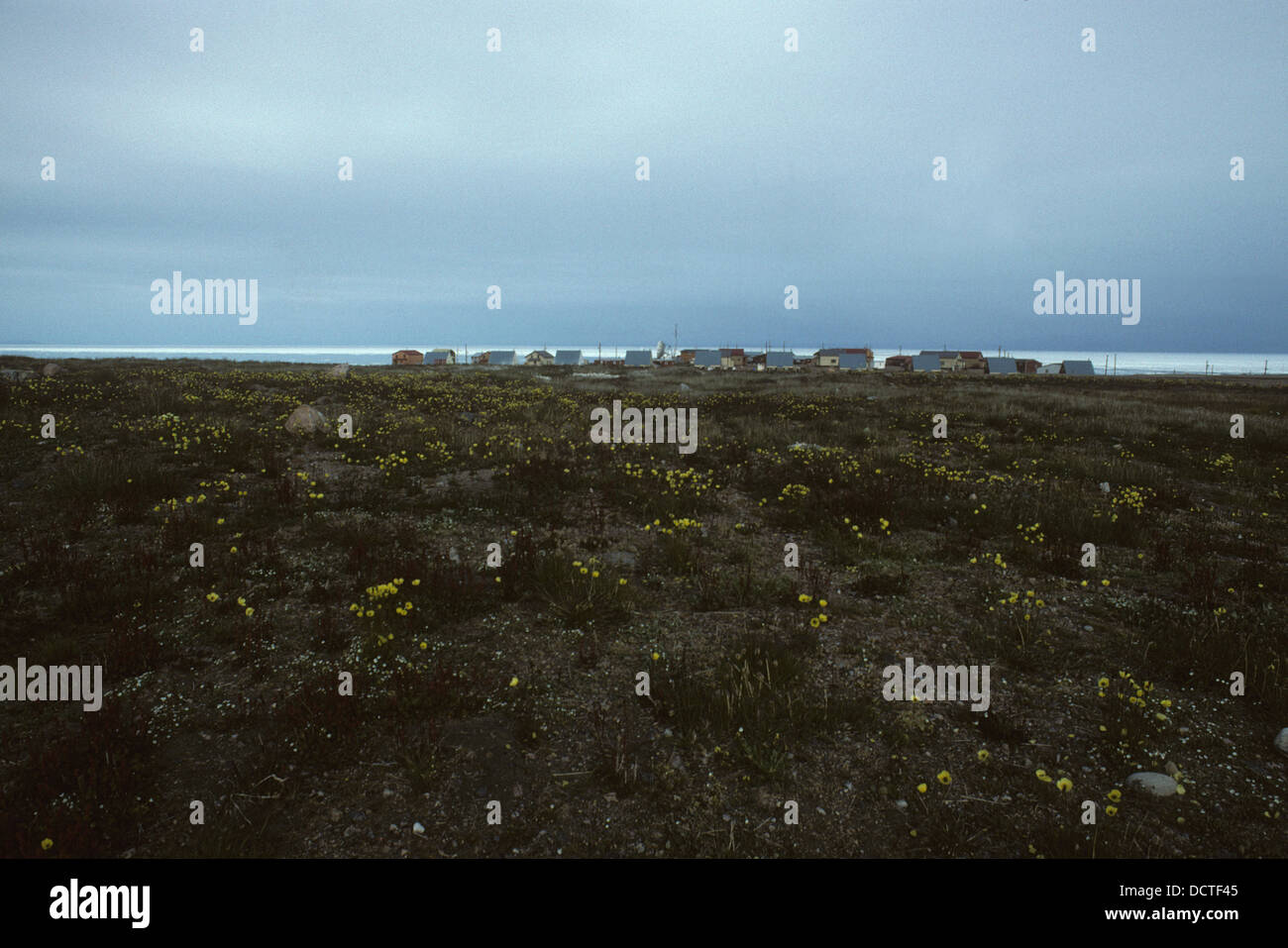 Remote town on Arctic tundra, Pond Inlet, Baffin Island, Nunavut ...