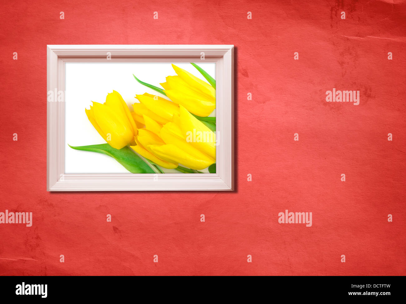 Color framing hi-res stock photography and images - Alamy