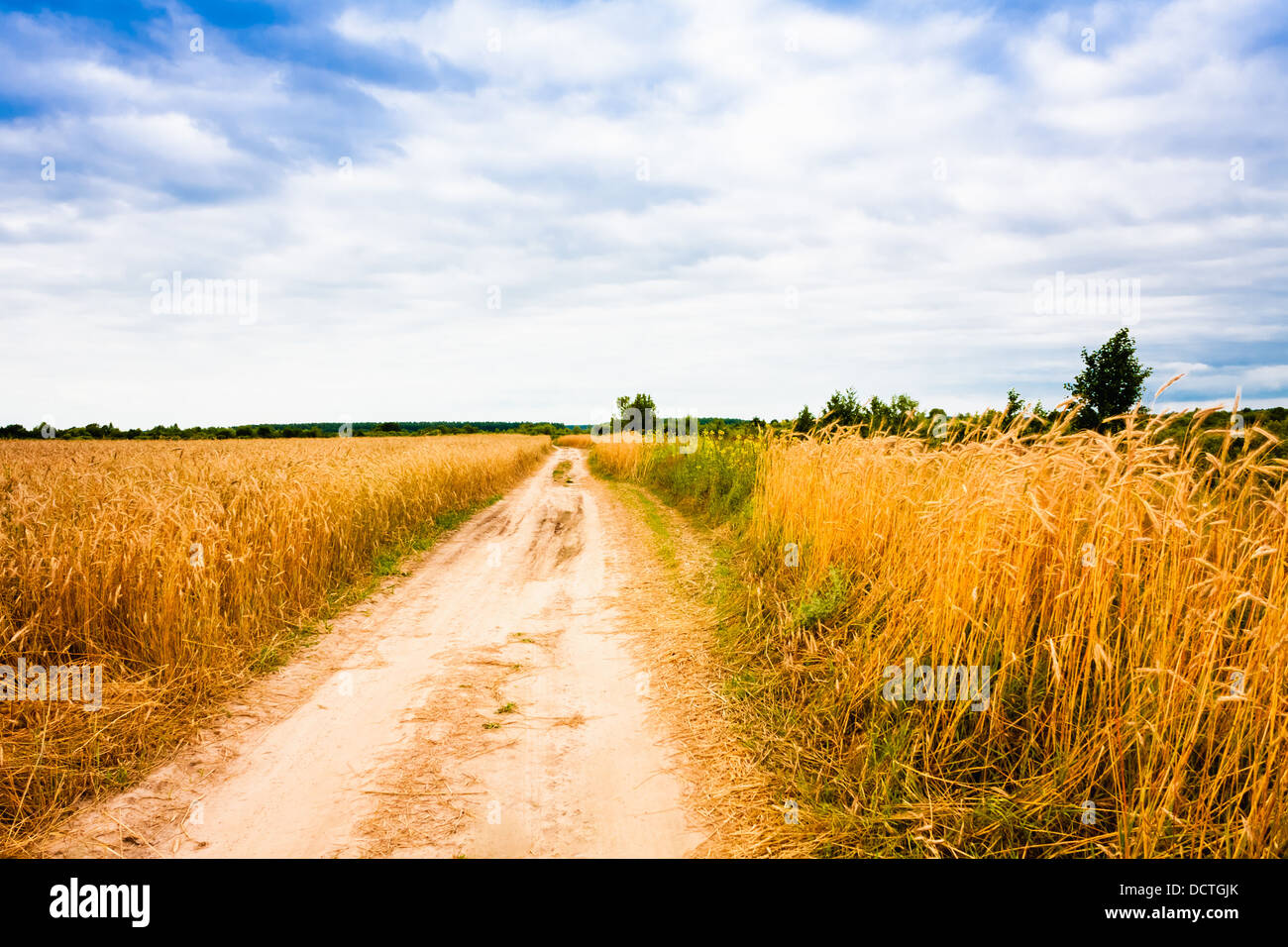 Empty Countryside Road Through Fields With Wheat Stock Photo - Alamy