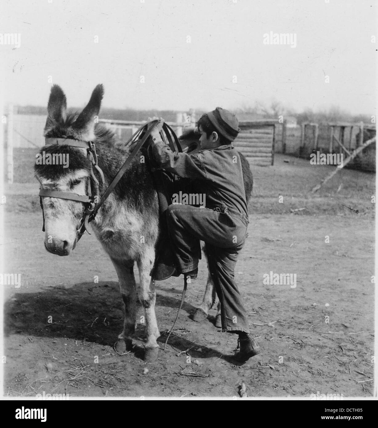 A boy is seen mounting a burro, a small donkey traditionally used for ...