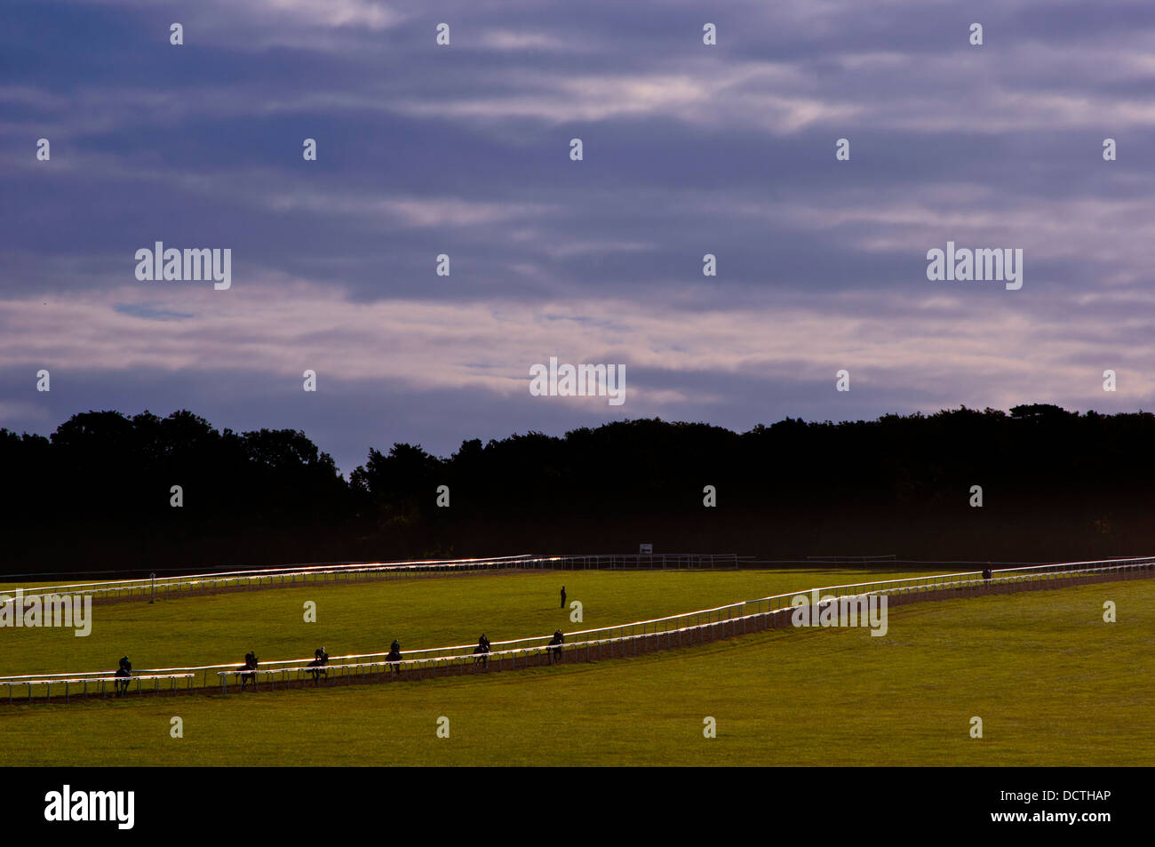 Newmarket Exercise Gallops Gallop Stock Photo - Alamy