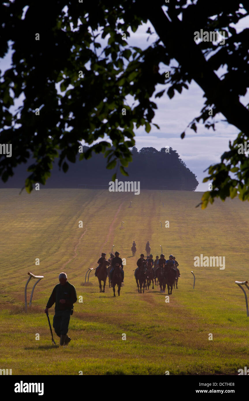 Race horses return from morning on Exercise Gallops Stock Photo - Alamy