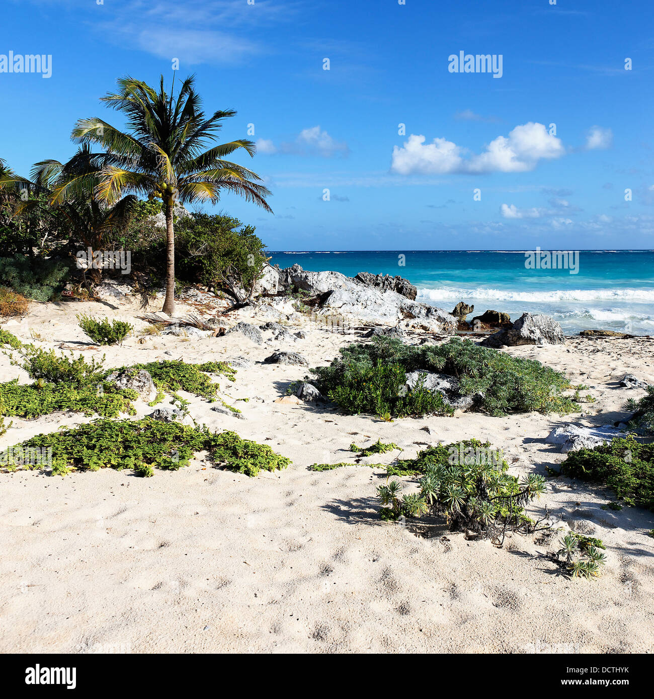 desert mexican beach Stock Photo - Alamy