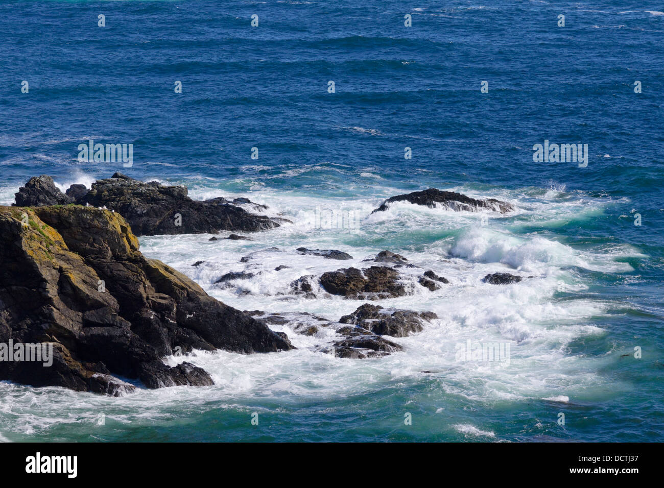 The Lizard Peninsula, Cornwall England UK Stock Photo - Alamy