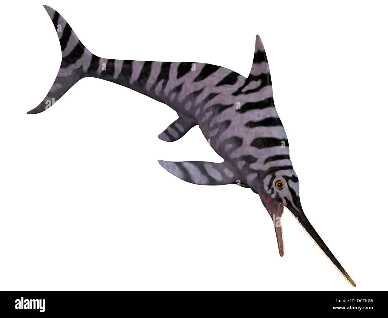 Eurhinosaurus is an extinct genus of Icthyosaur from the Early Jurassic ...