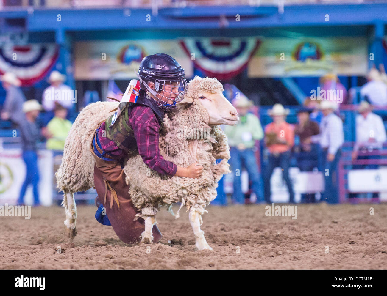 A boy riding on a sheep during a Mutton Busting contest at the Reno ...