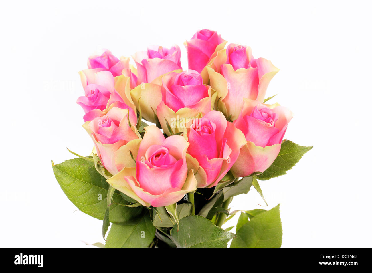 Bunch of pink roses Stock Photo - Alamy