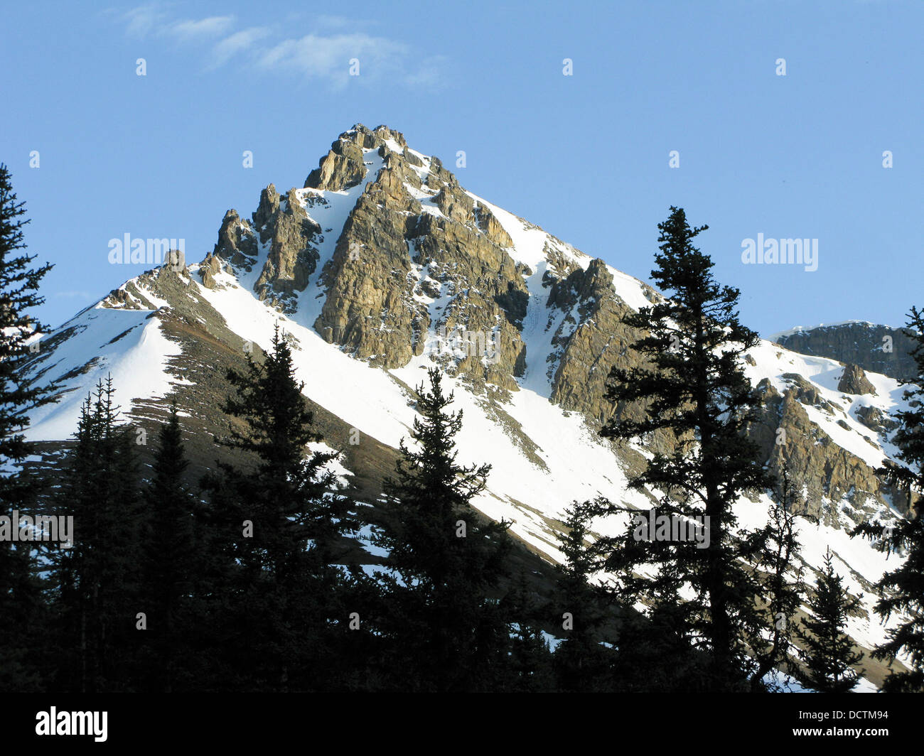 Banff mountain trees hi-res stock photography and images - Alamy