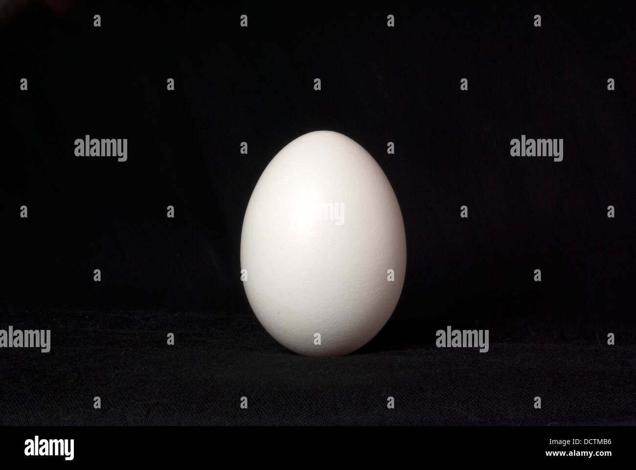 Hen egg and shell hi-res stock photography and images - Alamy