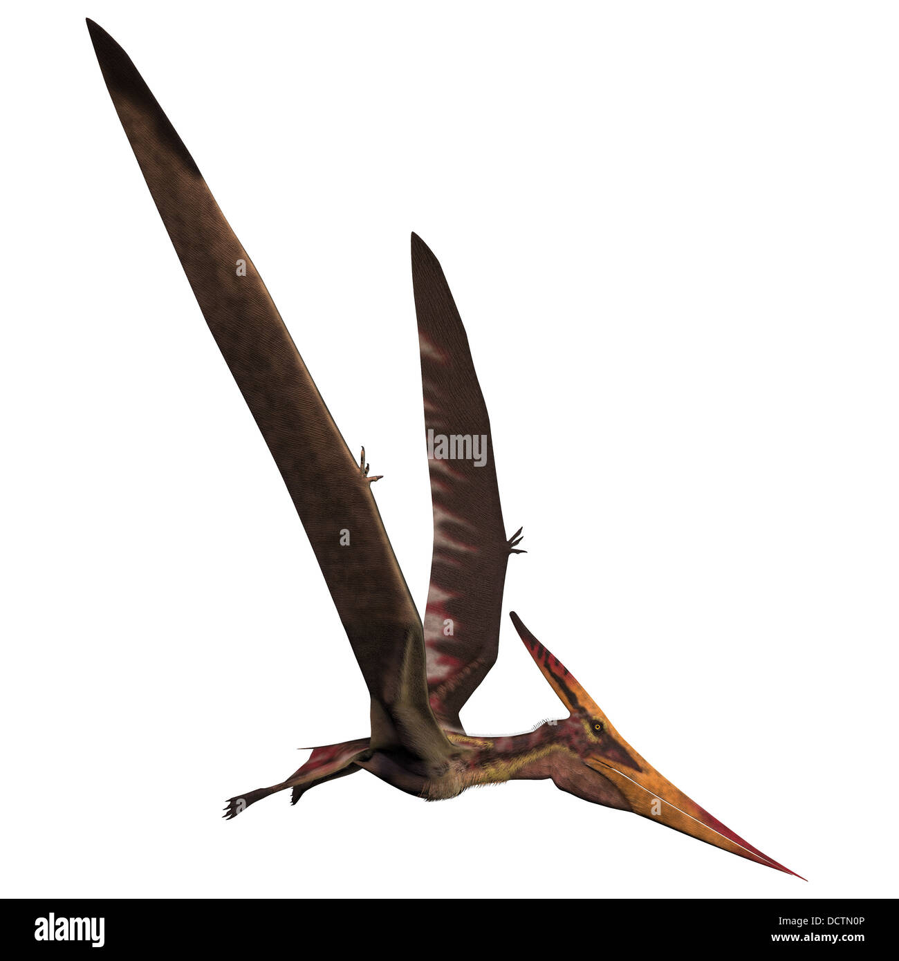 Pteranodon hi-res stock photography and images - Alamy
