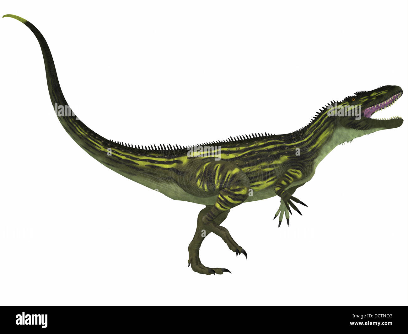 Dinosaur King Torvosaurus