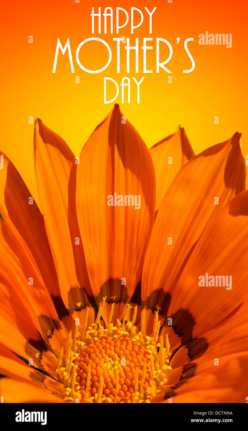 Card day fun hi-res stock photography and images - Alamy