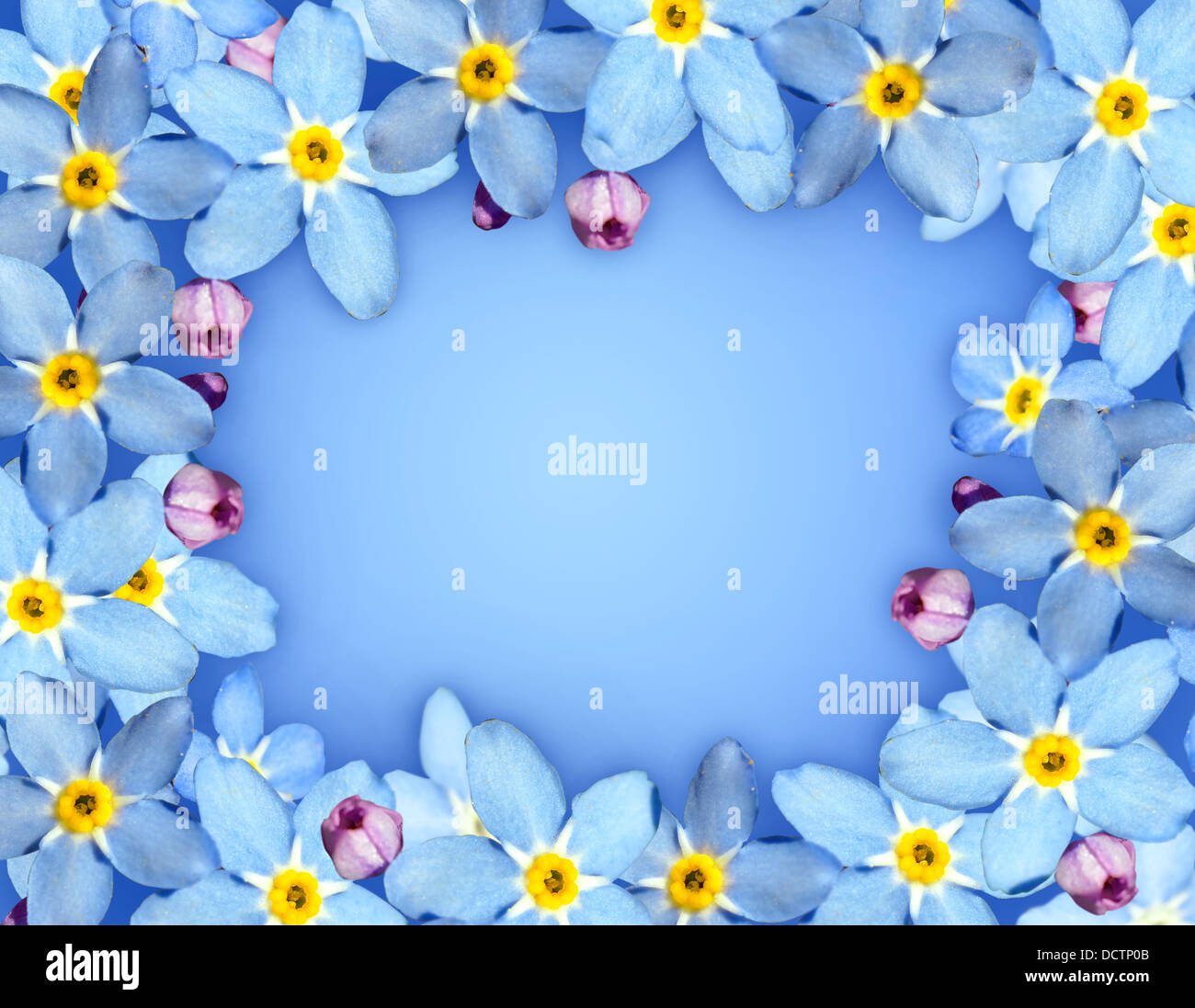 Blue flower frame Stock Photo - Alamy