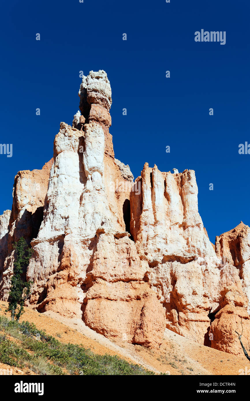 Famous hoodoo rocks at Bryce Canyon Stock Photo - Alamy