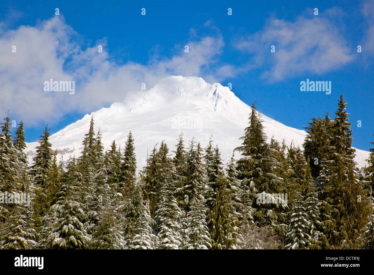 Mount Hood Covered With Snow In The Oregon Cascades; Oregon, United ...