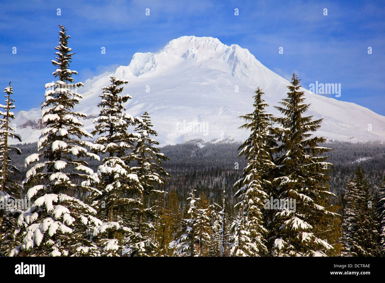 Mount Hood Covered With Snow In The Oregon Cascades; Oregon, United ...