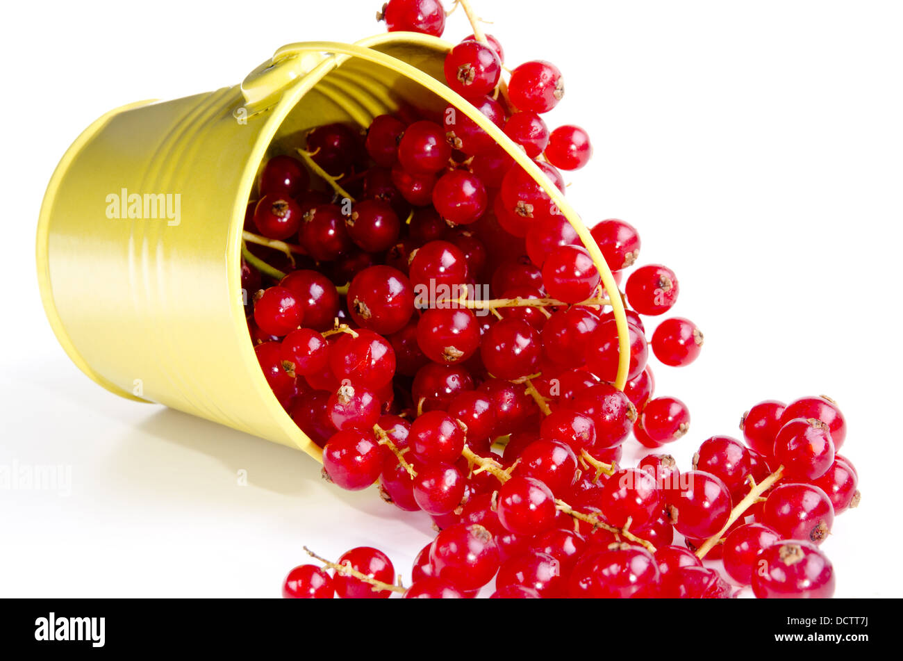 yellow metal bucket with freshly picked red currant Stock Photo - Alamy