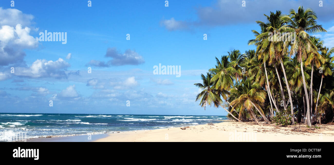 panoramic view of caribbean beach Stock Photo - Alamy