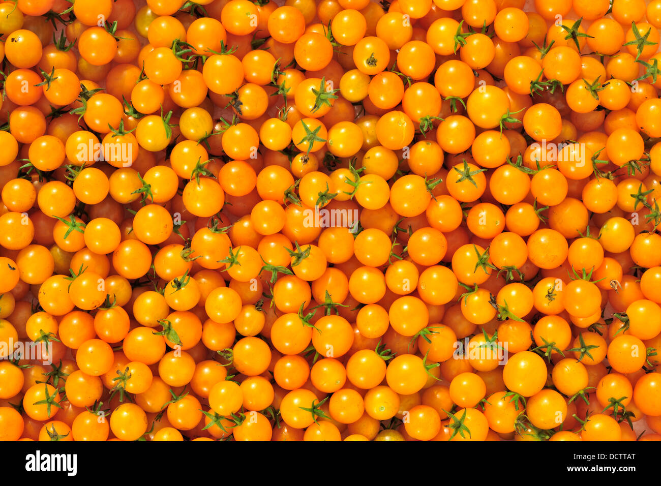 Yellow Cherry tomato Stock Photo - Alamy