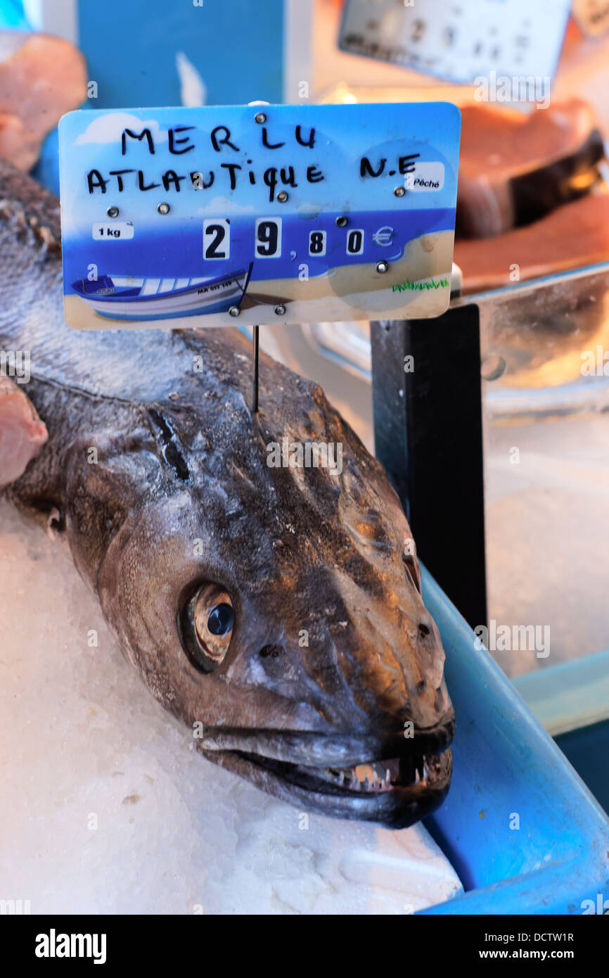 Hake head hi-res stock photography and images - Alamy