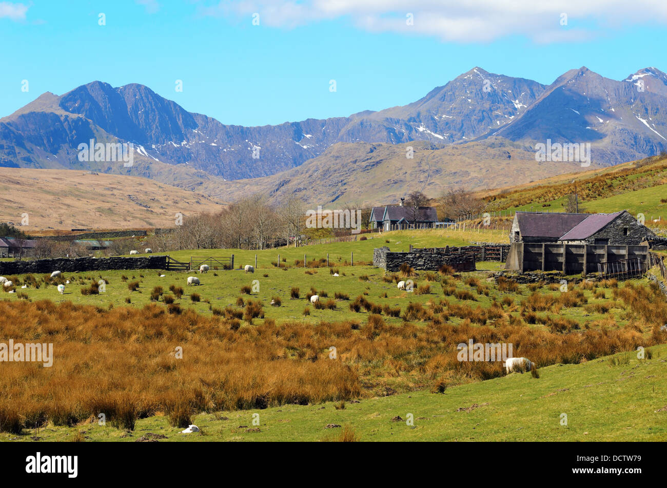 Welsh hill farm in Snowdonia National Park Gwynedd North Wales Stock ...