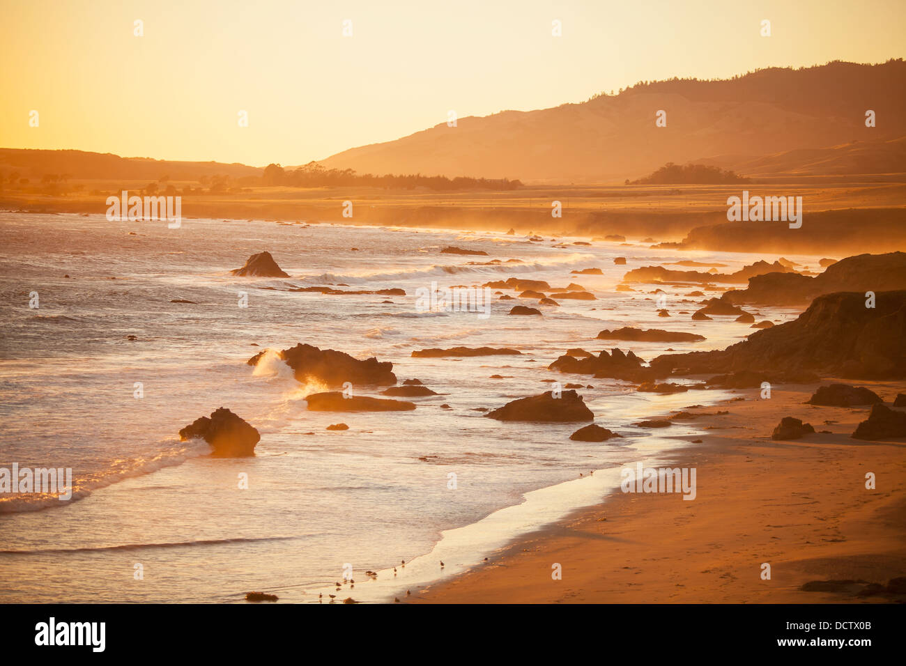 San simeon beach hi-res stock photography and images - Alamy