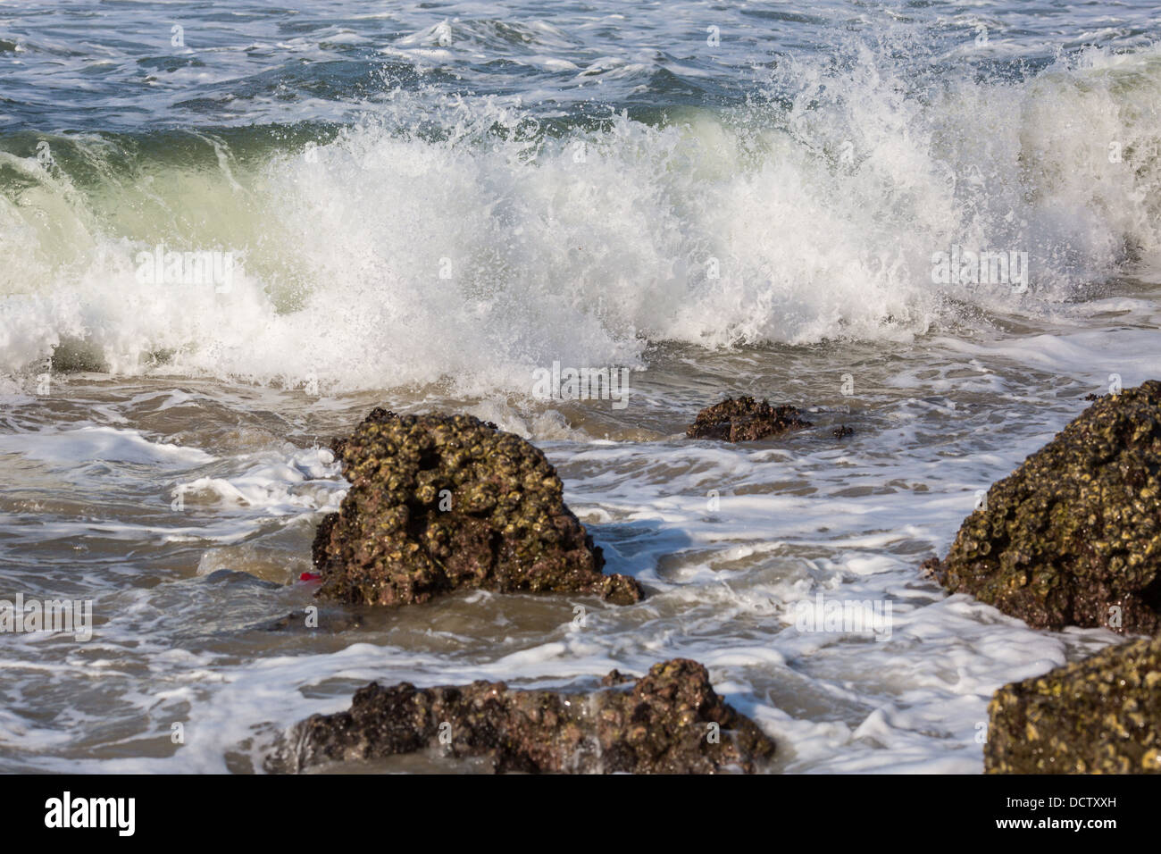 A beach in Varkala. Indian ocean Stock Photo - Alamy