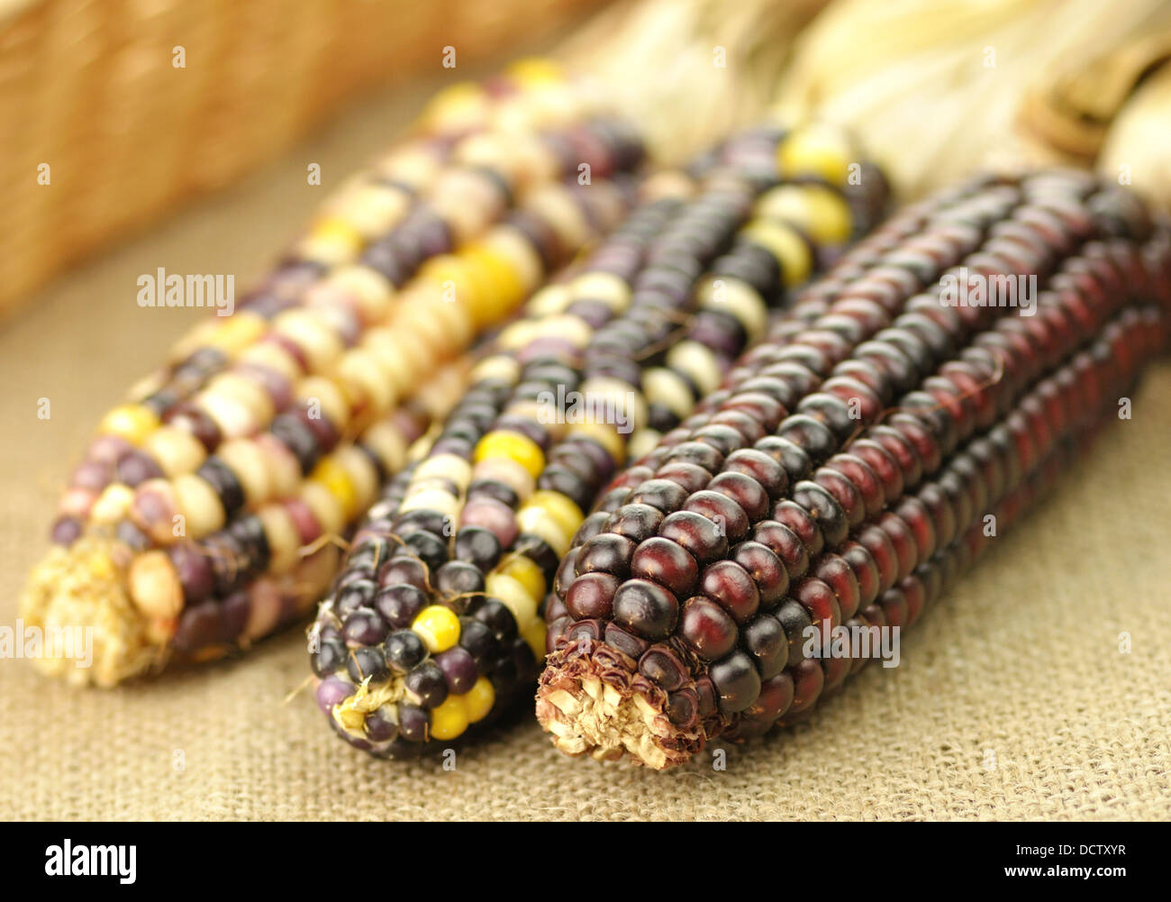 Colorful corn husk hi-res stock photography and images - Alamy