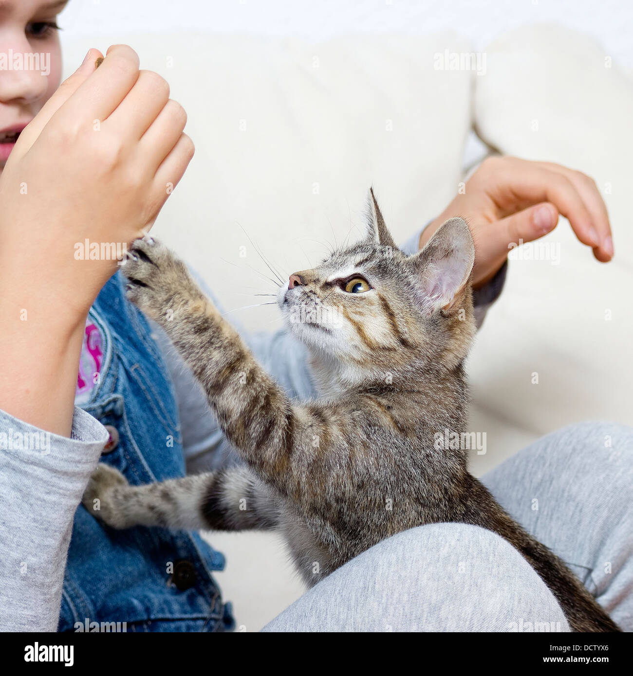 a girl is playing with a kitten Stock Photo - Alamy