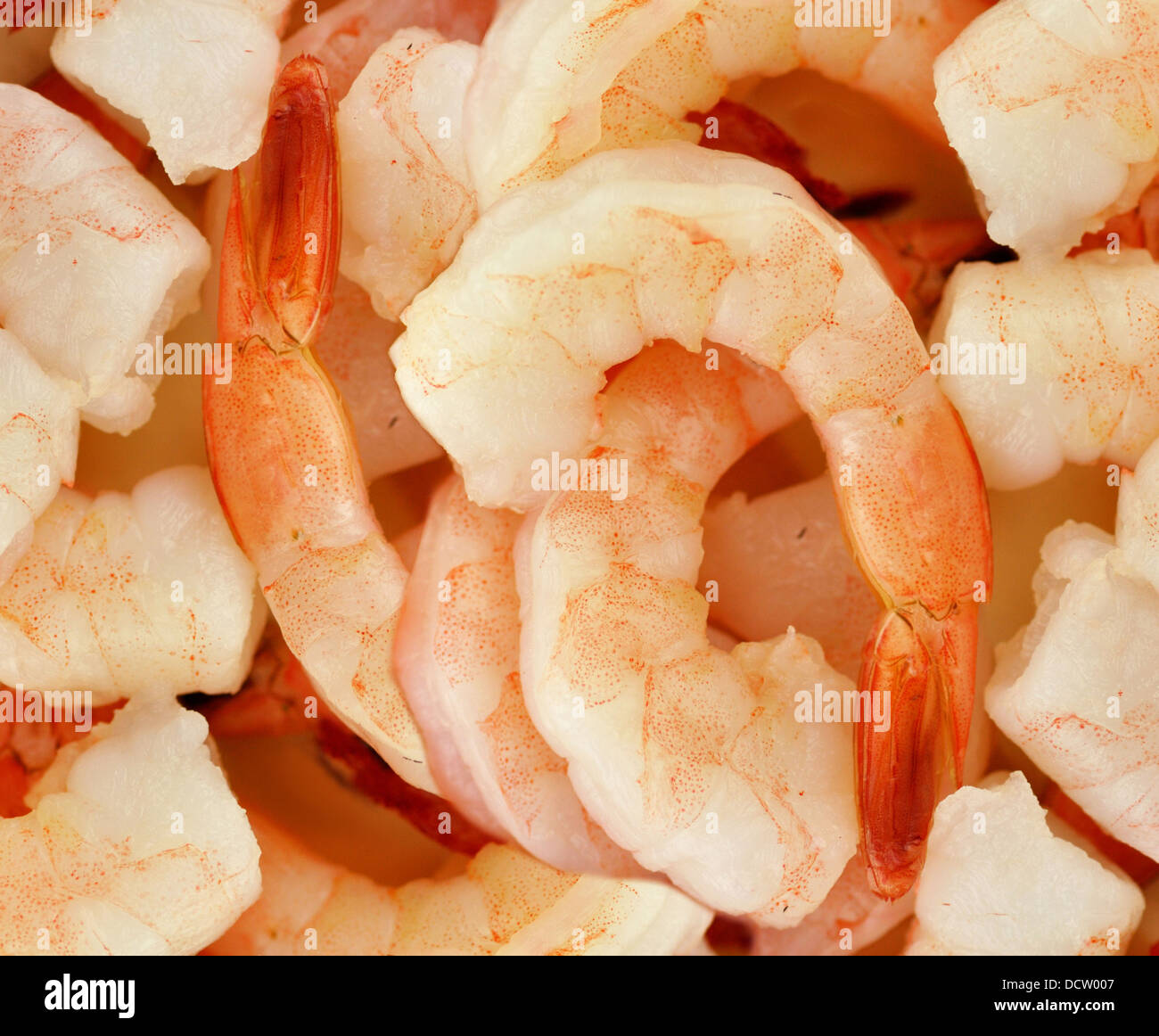 Peeled prawns background Stock Photo - Alamy